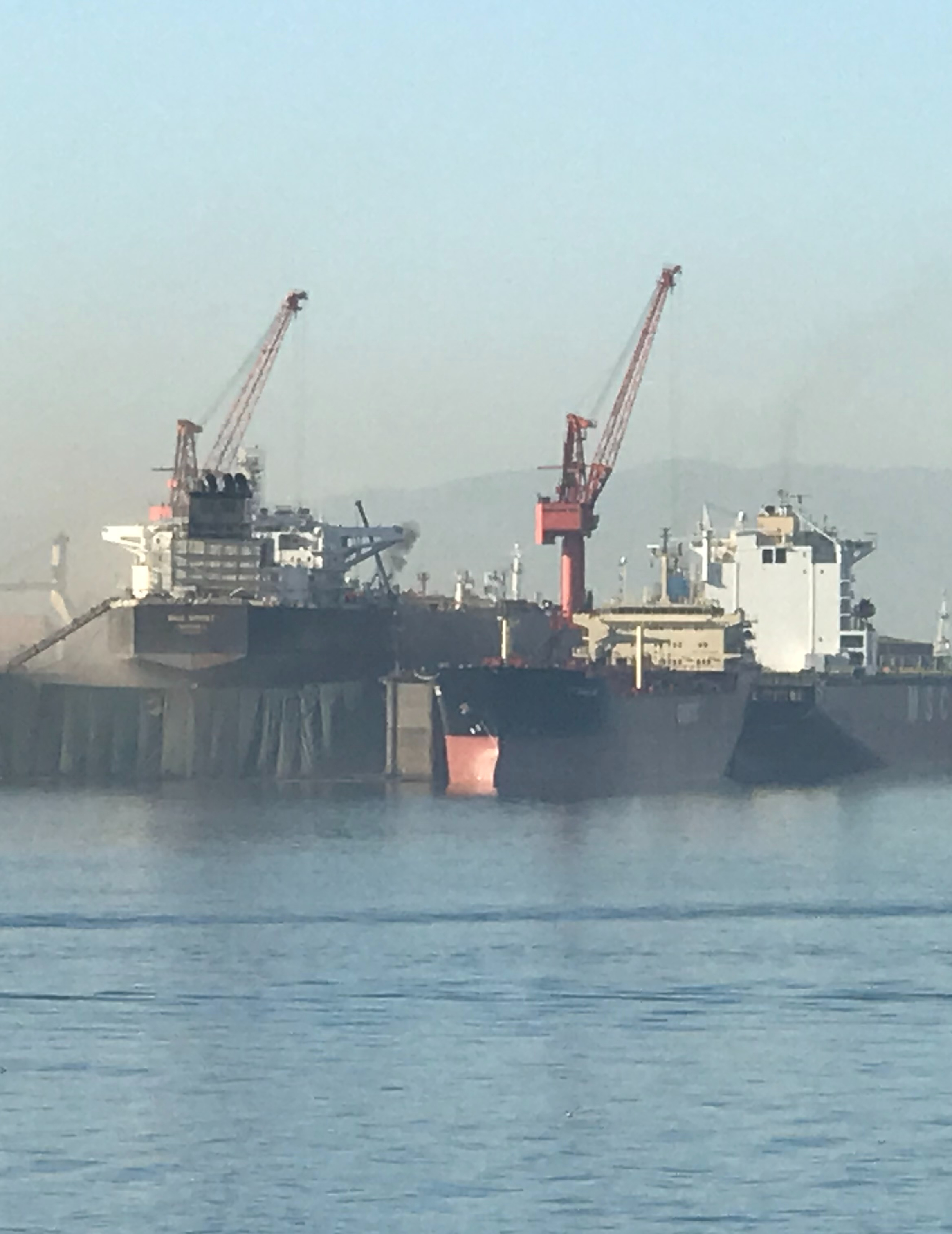 Ballast Water Management Plan -BWMP - development
